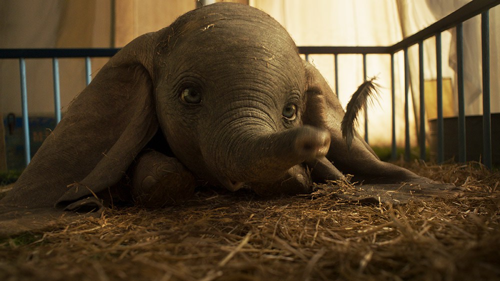 The Official Trailer for Disney's 'Dumbo' has Arrived - The Rabbit Society