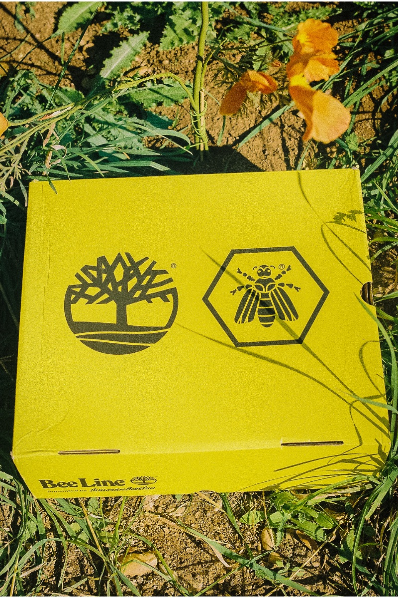 Timberland's Colourful Collaboration With Bee Line - The Rabbit Society